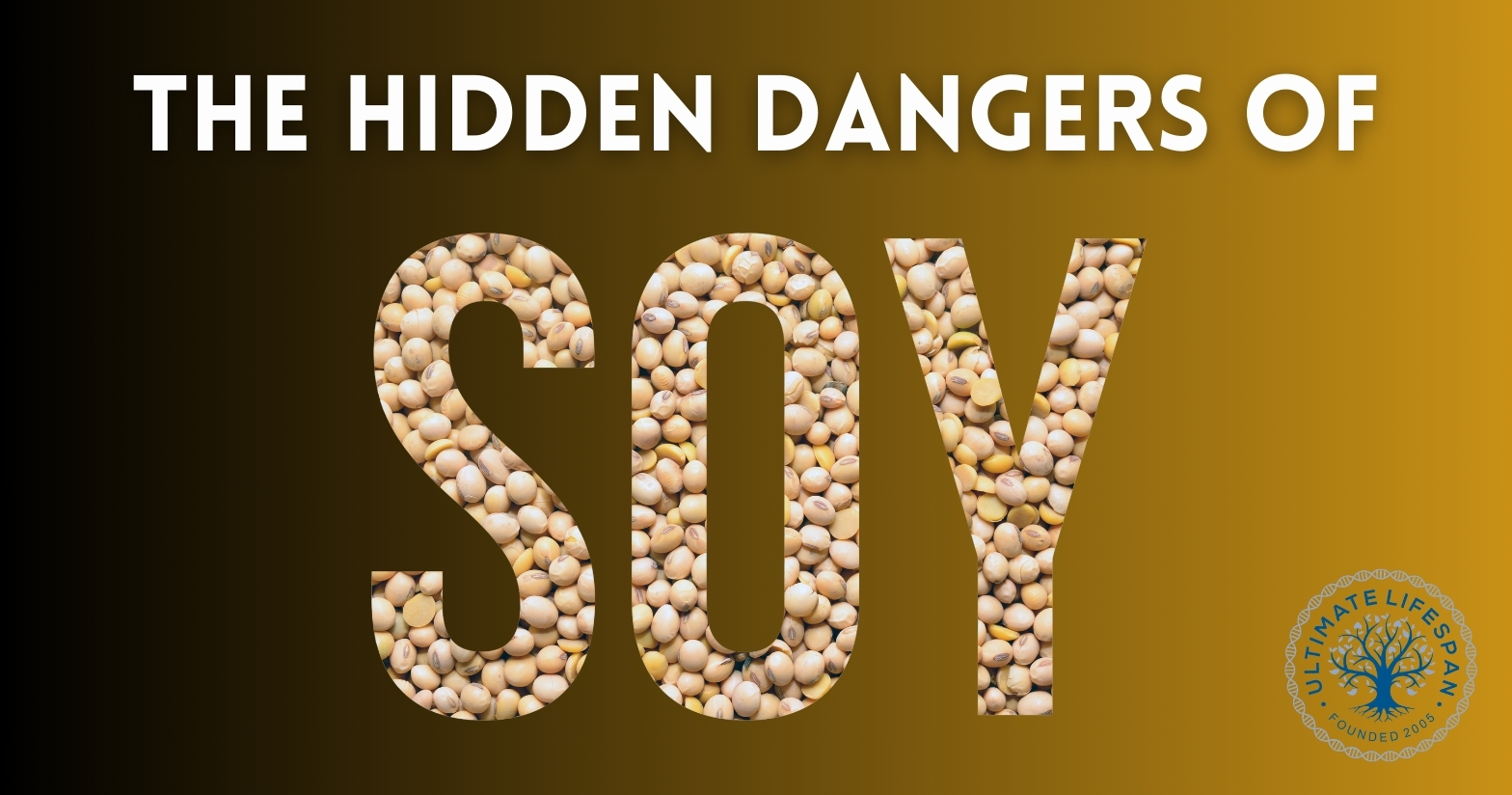 The Soy Story: Hidden Dangers Lurking in Your Plant-Based Diet ...